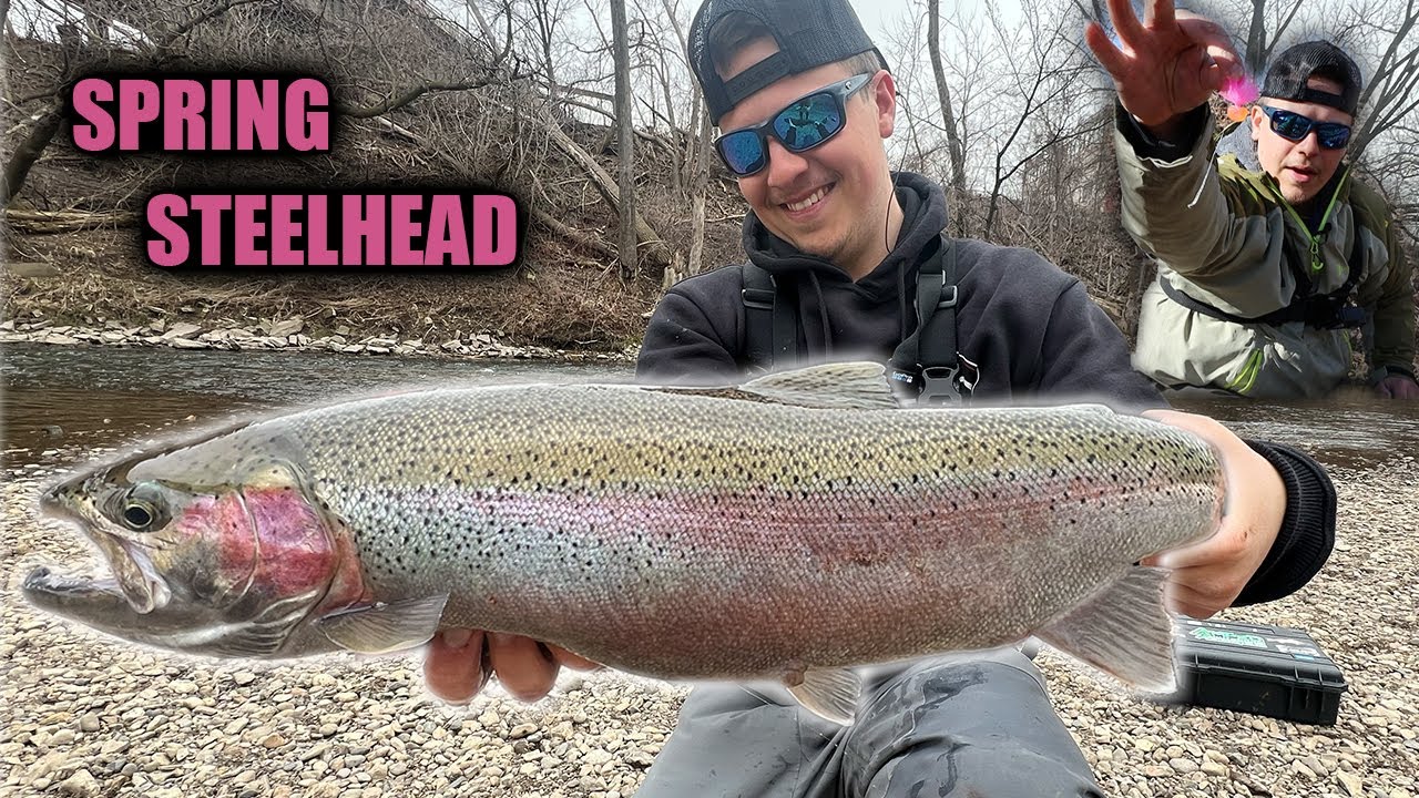 URBAN Spring Steelhead Fishing in the City! - YouTube