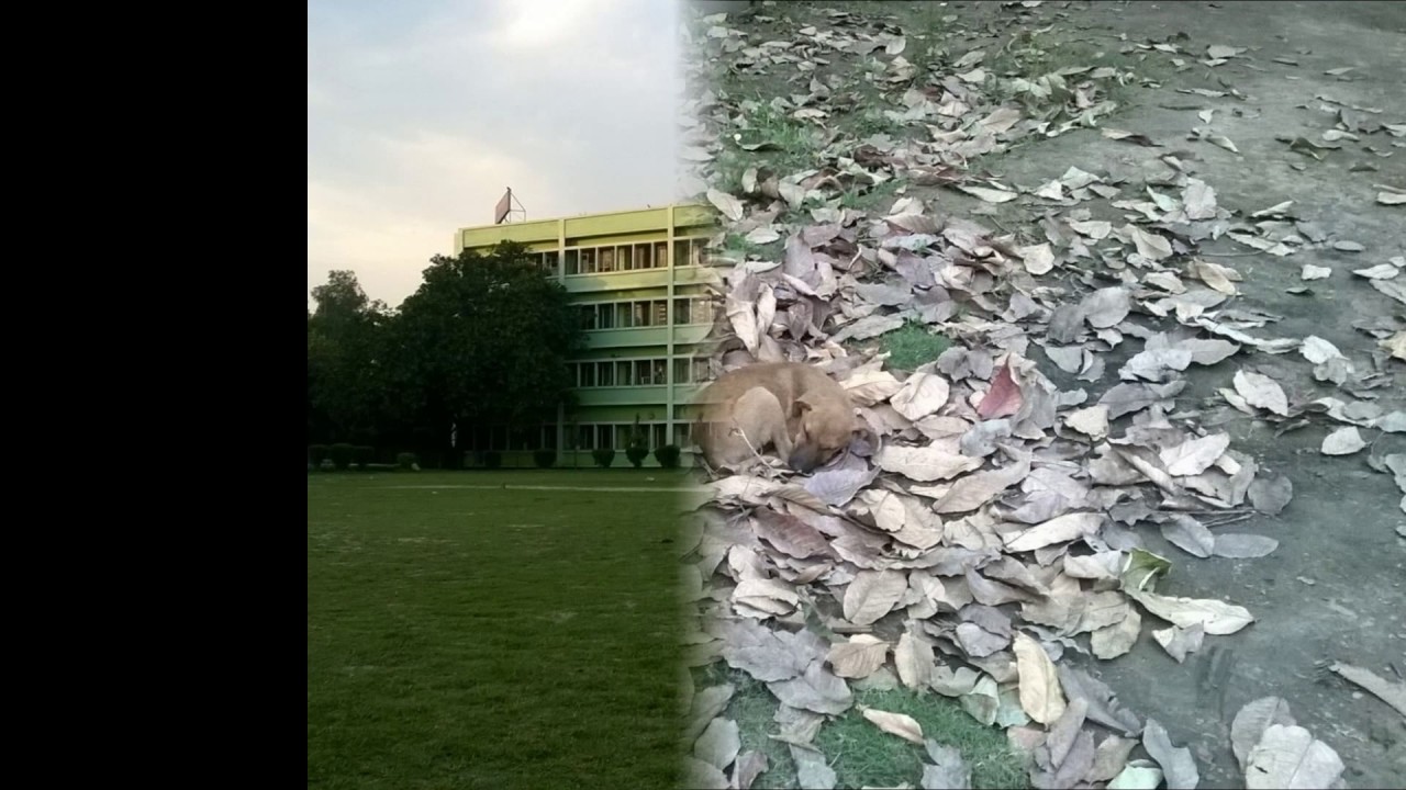 Aryabhatt Polytechnic Delhi - YouTube