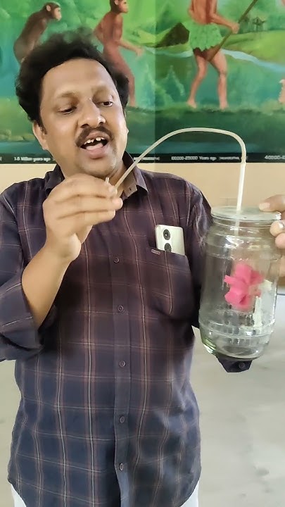 Fun Science - Air Pressure in a Bottle #science #experiment - YouTube