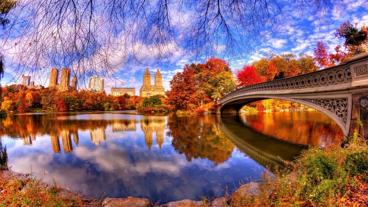 Autumn water reflections (HD1080p) - YouTube
