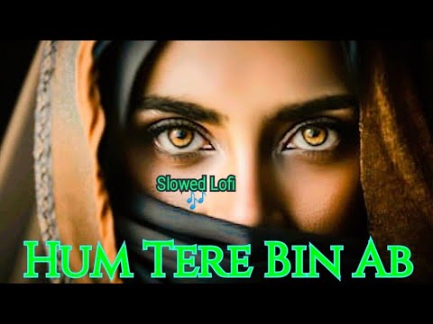 Hum Tere Bin Ab / Slowed Lofi Song Hindi 🎶Song🎶 ( Zee Lofi Tv) - YouTube