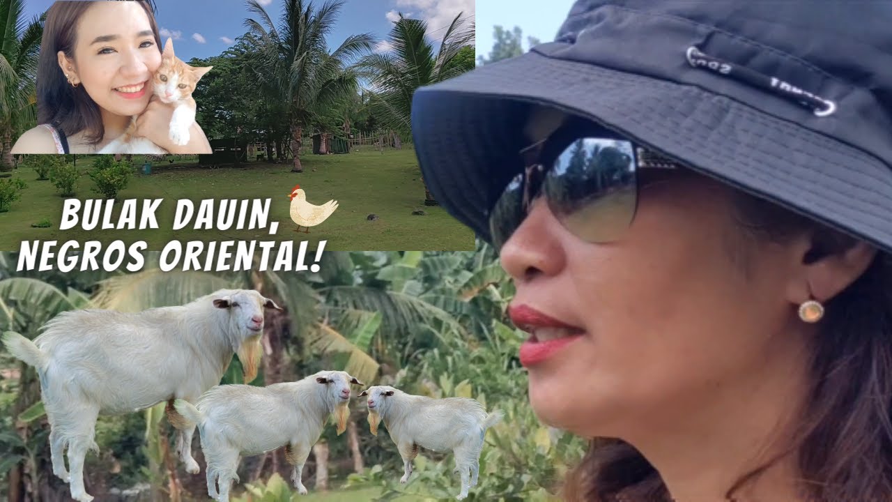 KAMBINGAN NI INDAY! (FARM LIFE IN DAUIN) | Life of a Single Mom - YouTube