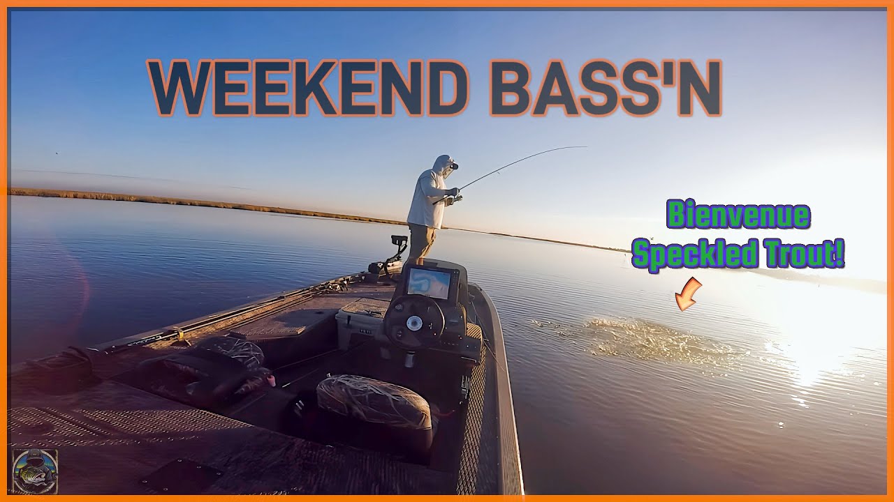 Bayou Bienvenue Speckled Trout Mayhem 10-20-23 - YouTube