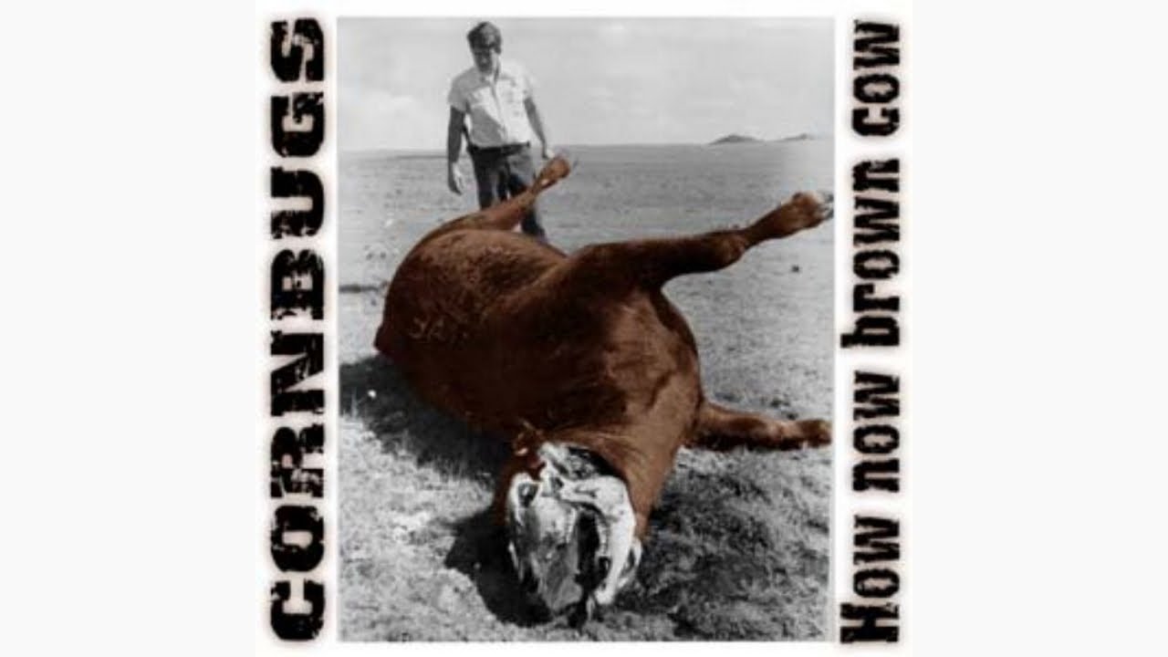 Cornbugs - Sacramento [Buckethead & Bill Moseley] - YouTube