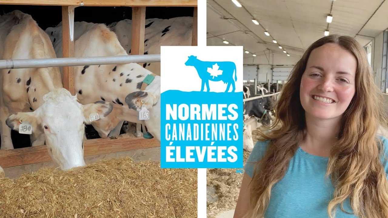 Salut productrice laitière : Recherchez le logo de la vache bleue - YouTube