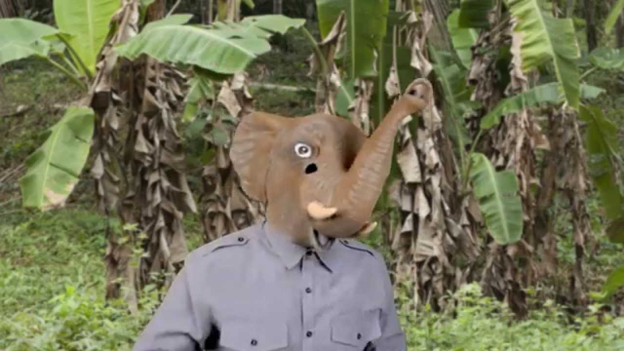 Elephant Deluxe Latex Mask - Halloween Masks | Trendyhalloween.com ...