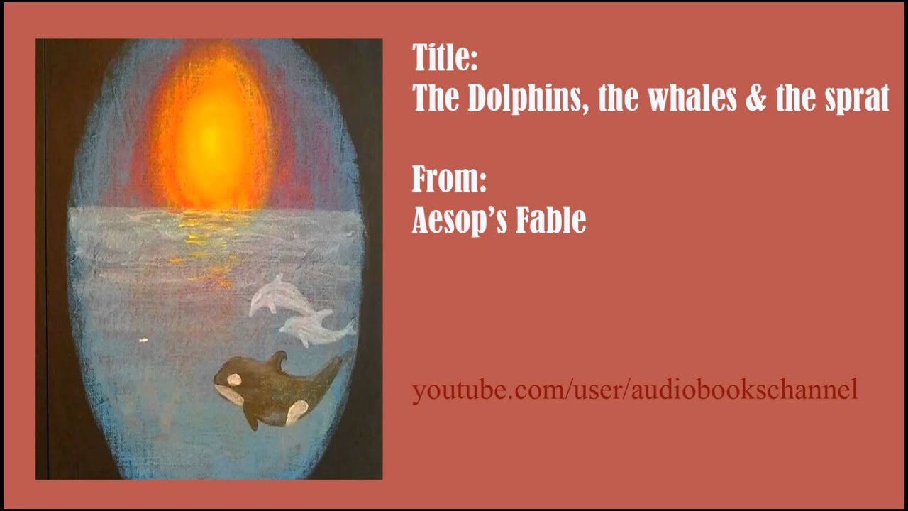 The dolphins, the whales and the sprat - Aesop's Fable 30 - YouTube