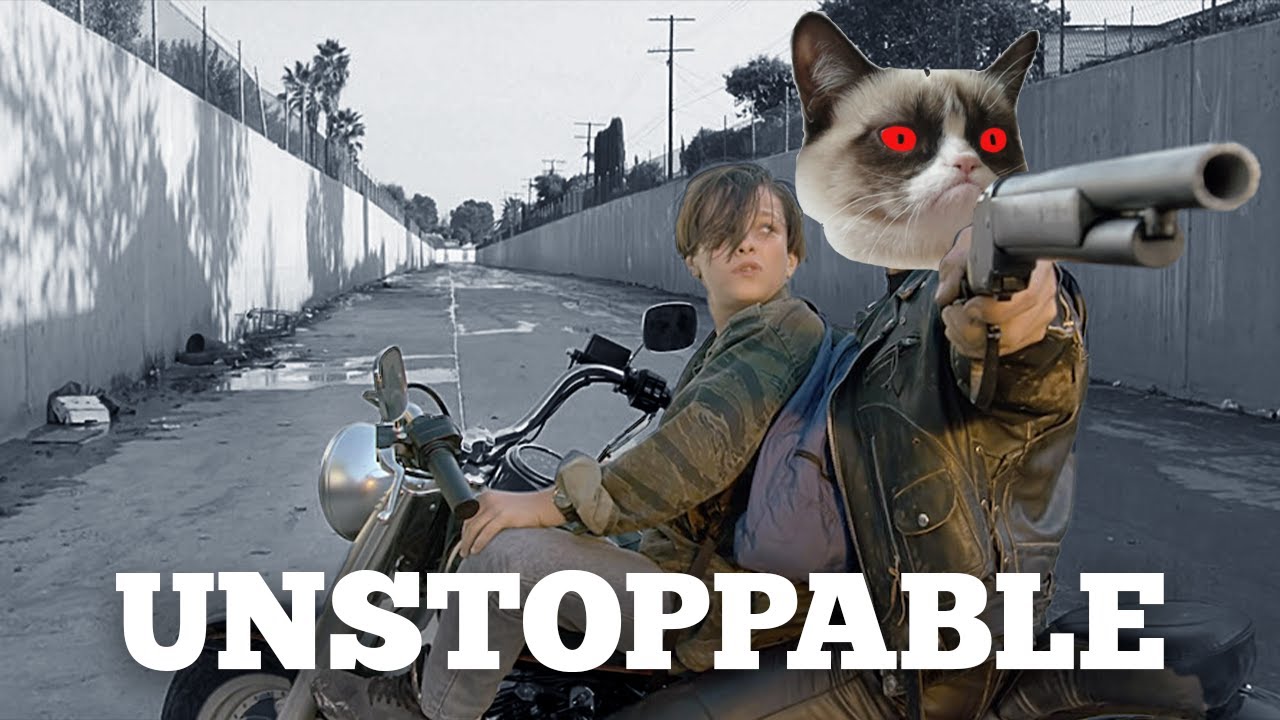 Terminator, but Make it a Cat! - YouTube