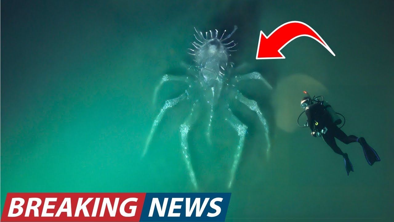 Discovery Channel Divers JUST Recorded Horrifying Sea Creature in ...