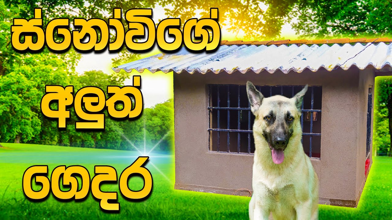 අපේ ස්නොවියට හදපු අලුත්ම ගෙදර - NEW HOUSE FOR SNOWI | MR DULA FAMILY ...