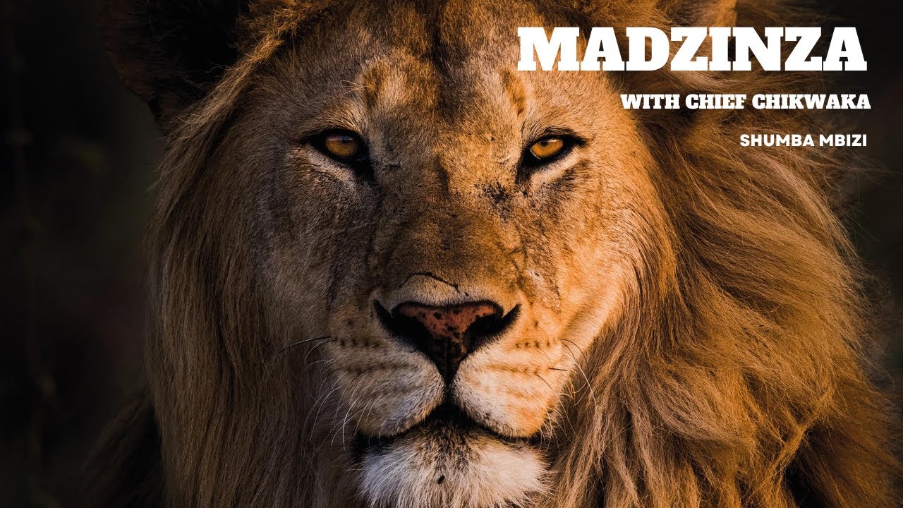 MADZINZA USENDO: Exploring Zimbabwean Customs- Episode 1 - YouTube