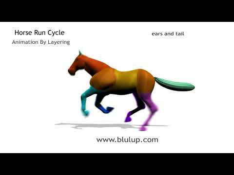 Horse Run Cycle Start to Finish