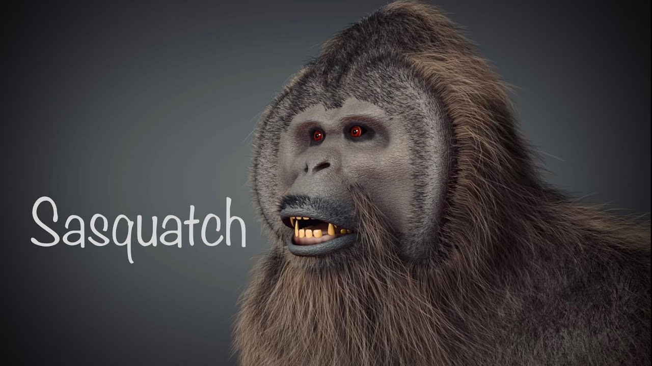 Sasquatch / Bigfoot 3d model render tests - YouTube