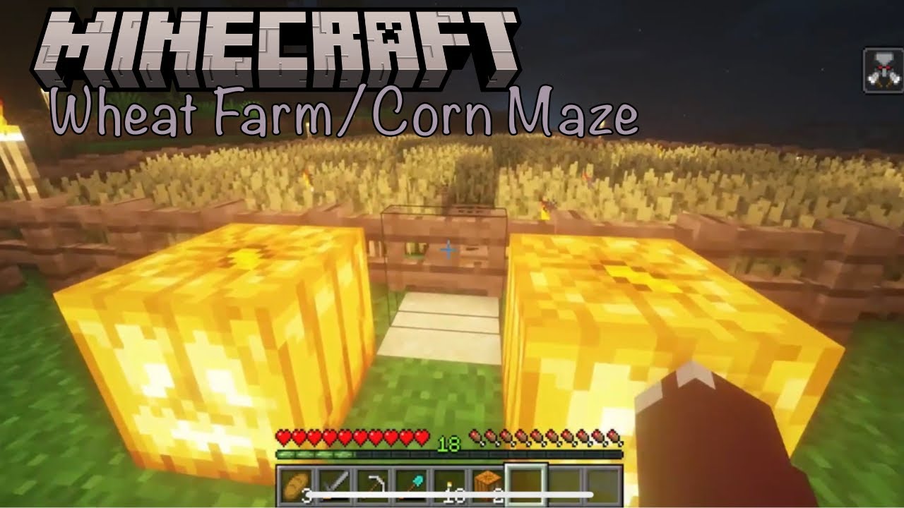 Minecraft | Building Wheat Farm/"Corn Maze" - YouTube
