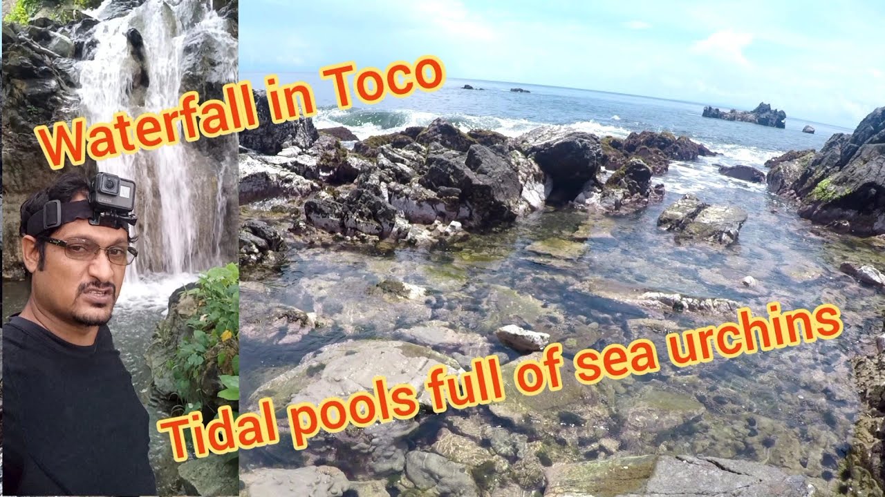 Roadtrip to Matelot ,waterfall/ tidal pools/epic shores pt1. - YouTube