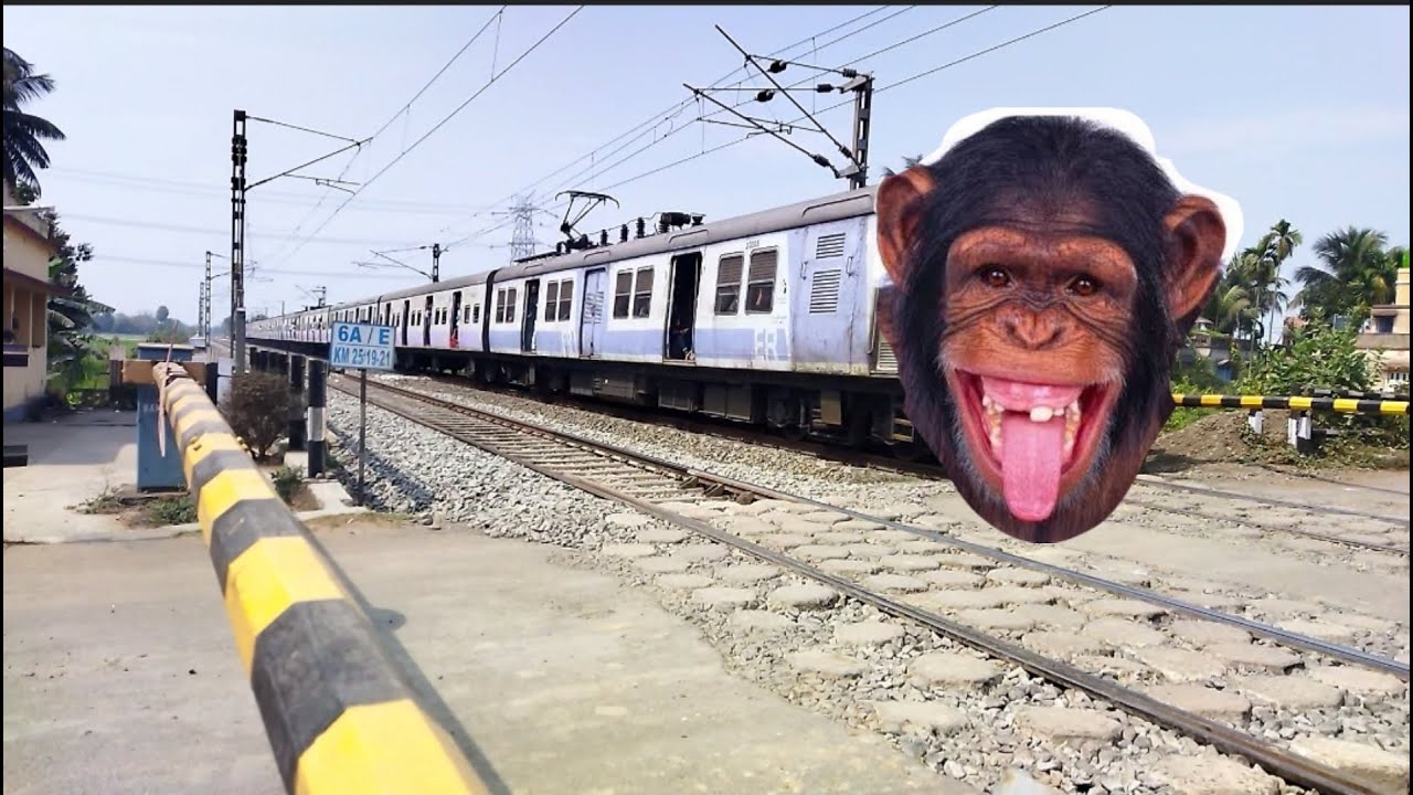Chimpanzee Headed Aggressive EMU Local Train Dangerous & Furious Moving ...