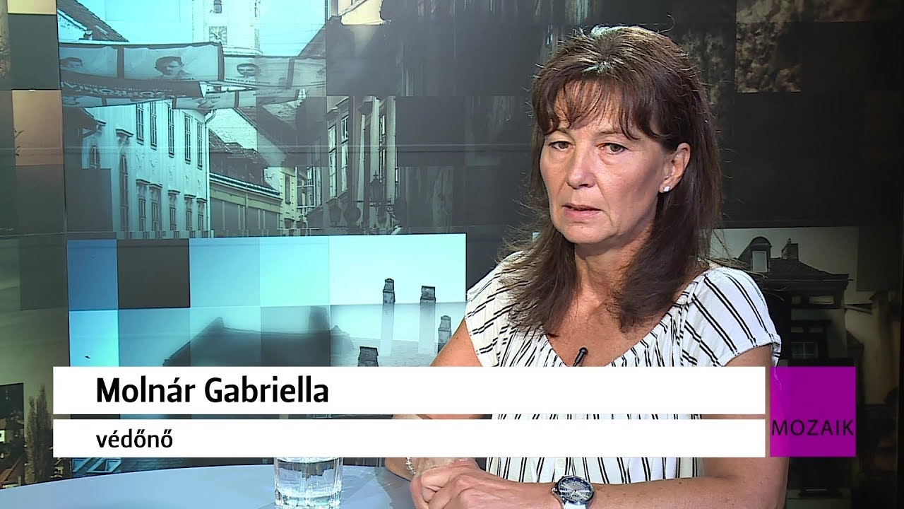 Mozaik - közéleti magazin - vendég: Molnár Gabriella - 2019.08.02 ...