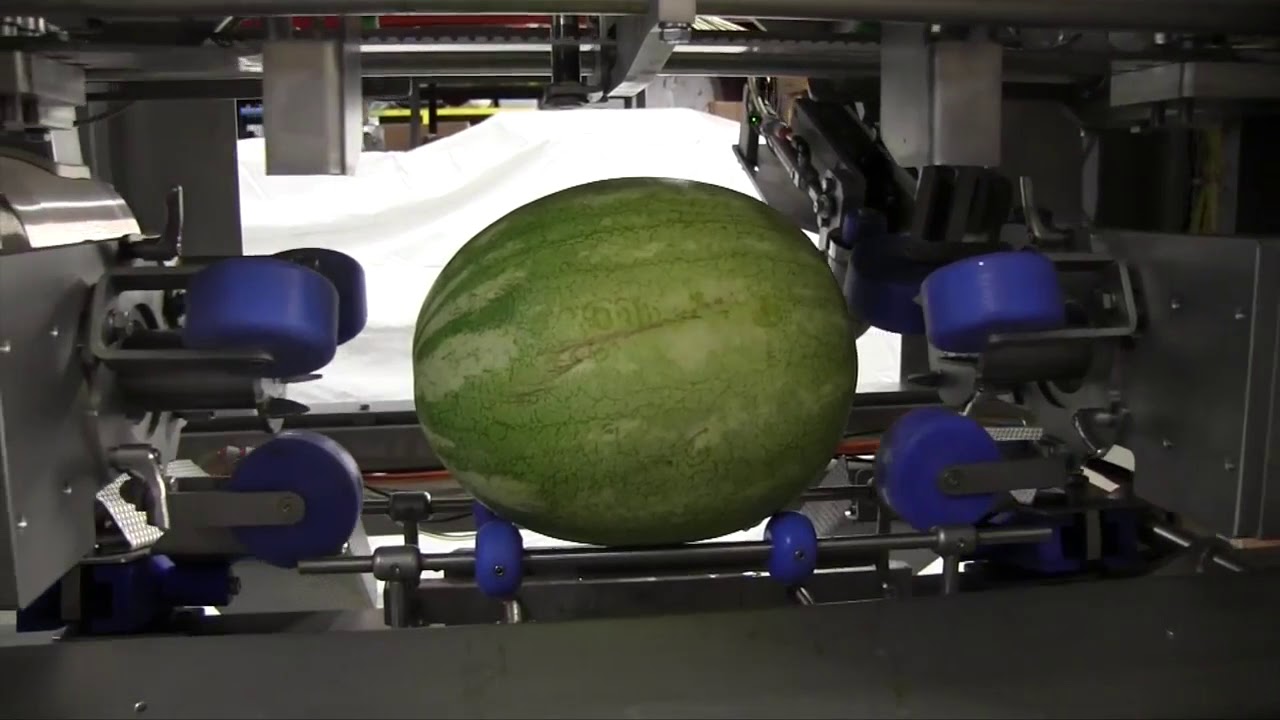 watermelon peeling - YouTube