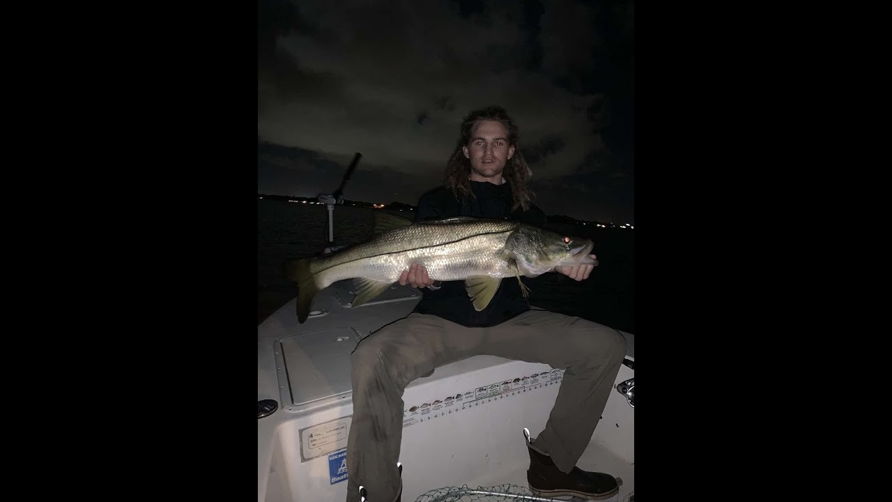 Snook Fishing Stuart Florida (INSANE!!!) - YouTube