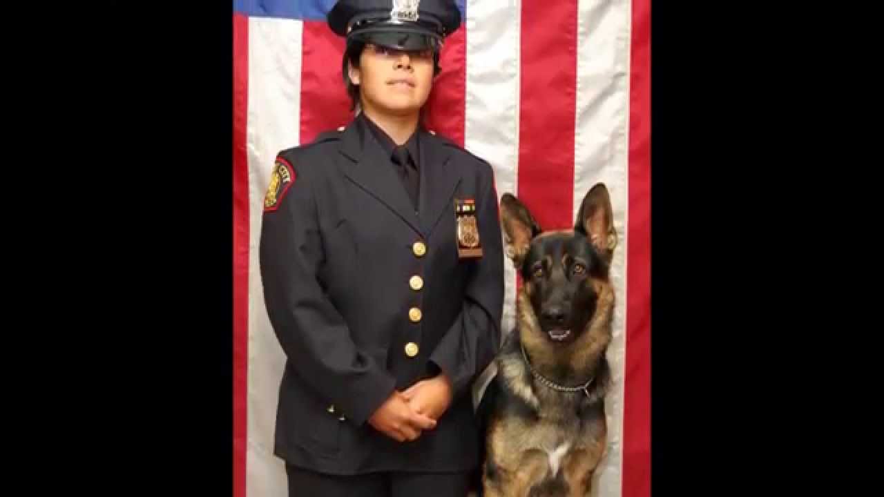 JCPD K-9 - YouTube