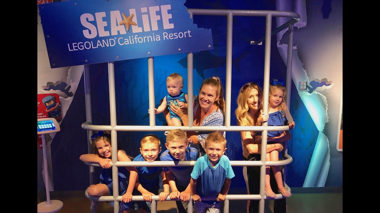 Sea Life Aquarium at Legoland California - YouTube