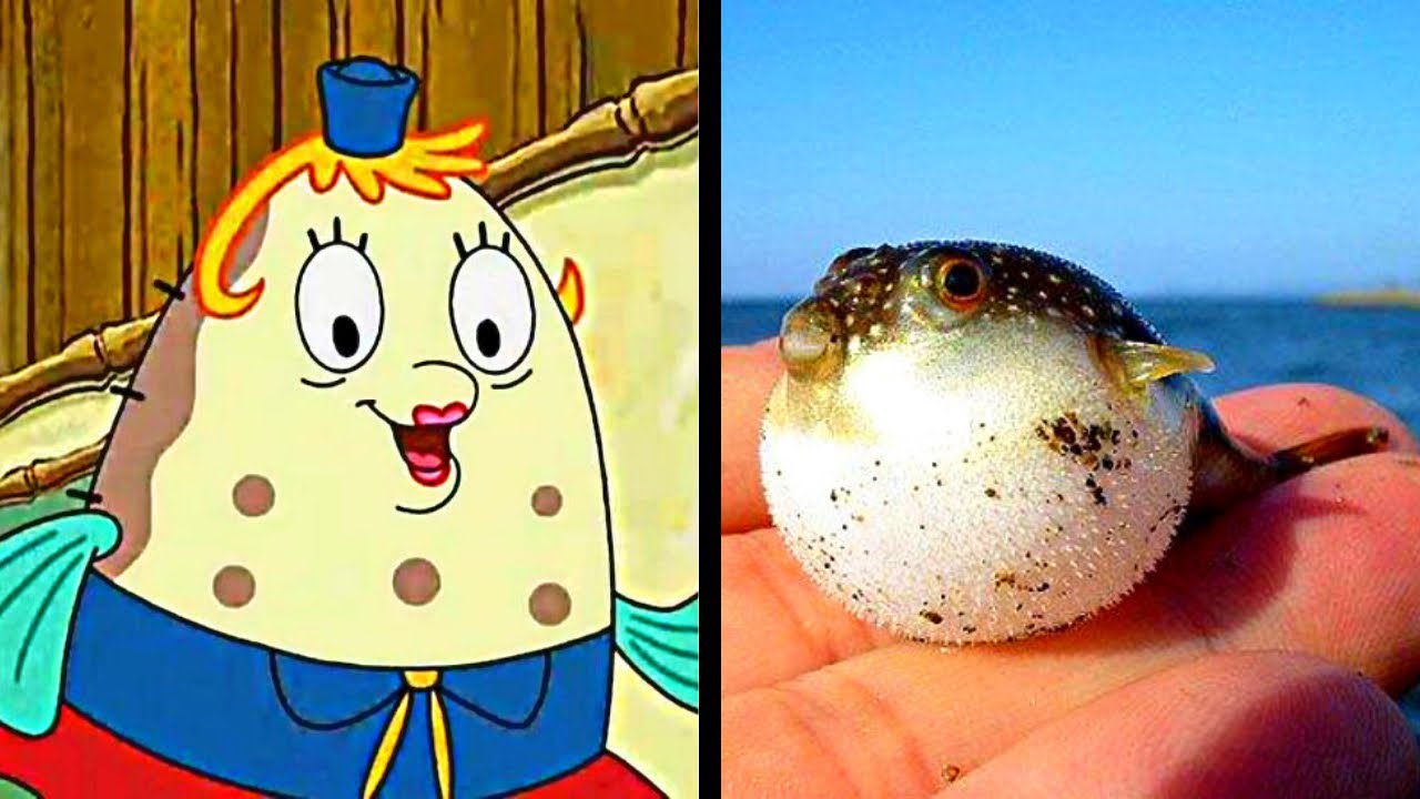 SpongeBob in Real life - Main Characters! Part 118 - YouTube