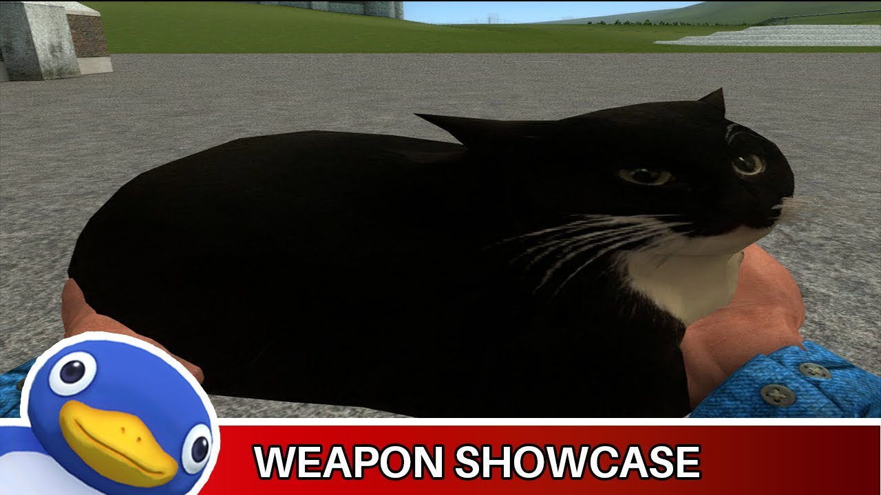 Maxwell the carryable cat (GMOD Weapon Showcase) - YouTube