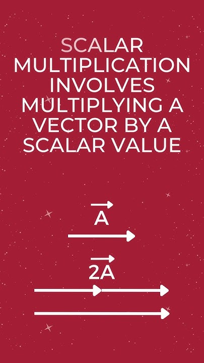 Multiplication of Vectors - By Scalar Quantity - Vectors - Physics 101 - YouTube