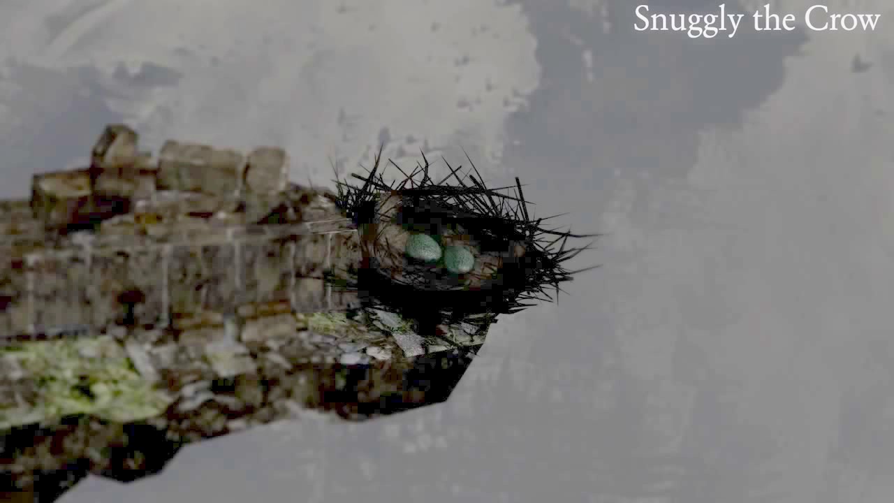 Dark Souls - Snuggly the Crow - Dialoghi [SUB ITA] - Parte 2 - YouTube