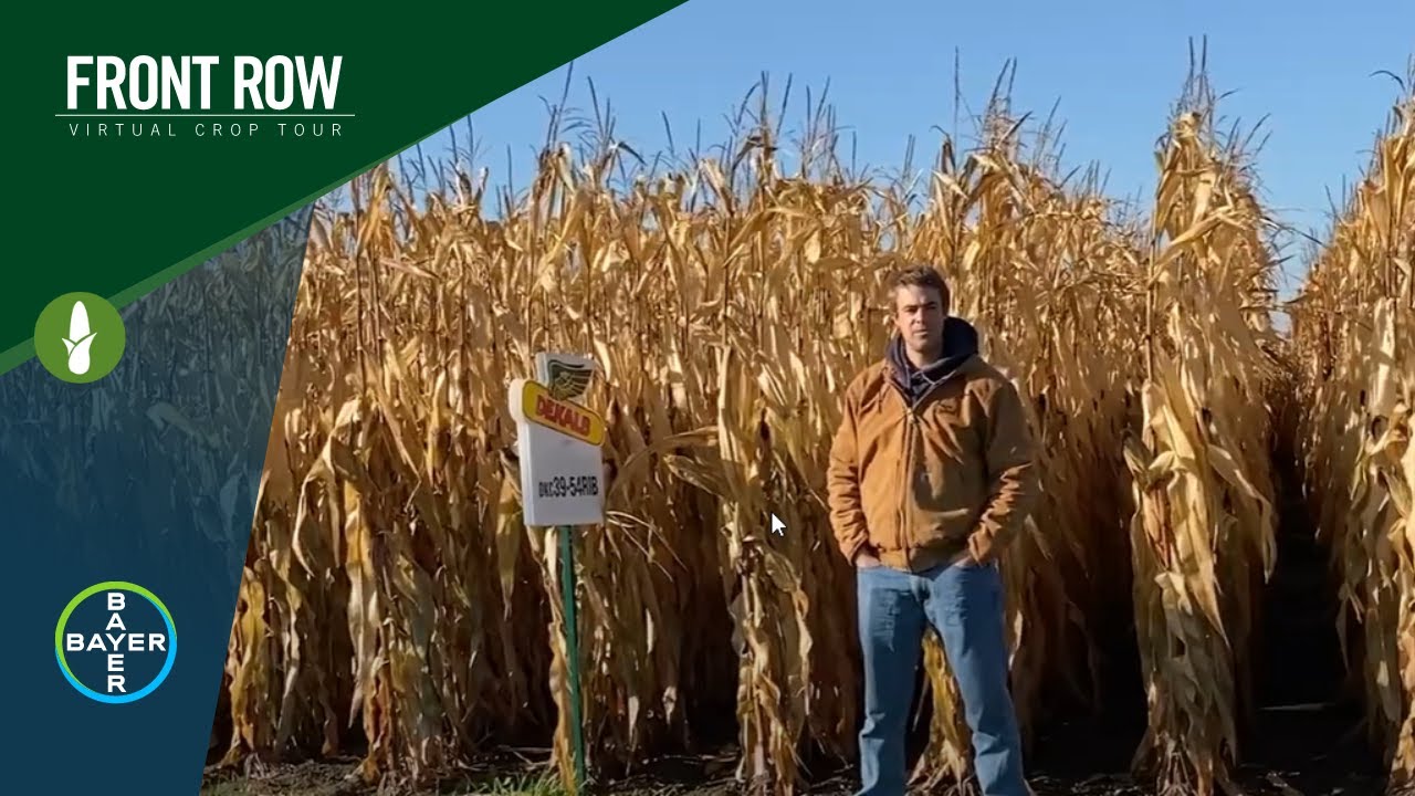 The Front Row: DEKALB® Corn Hybrid DKC39-54RIB - YouTube