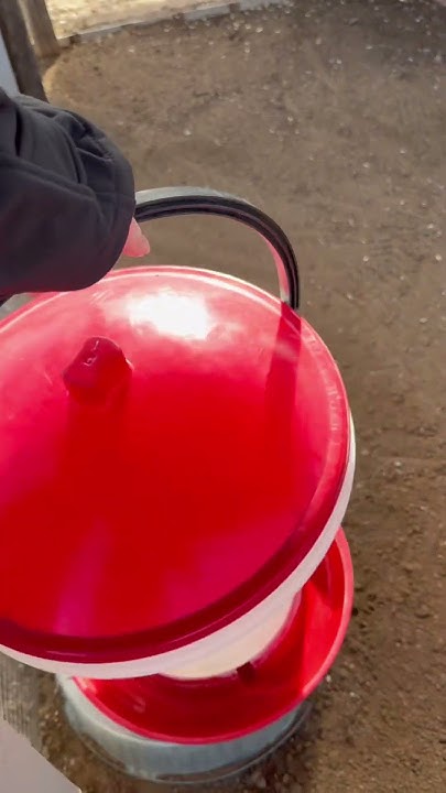 Most of the time chickens don’t need heat… #chickens #chicken #backyardchickens #chickencoop # ...