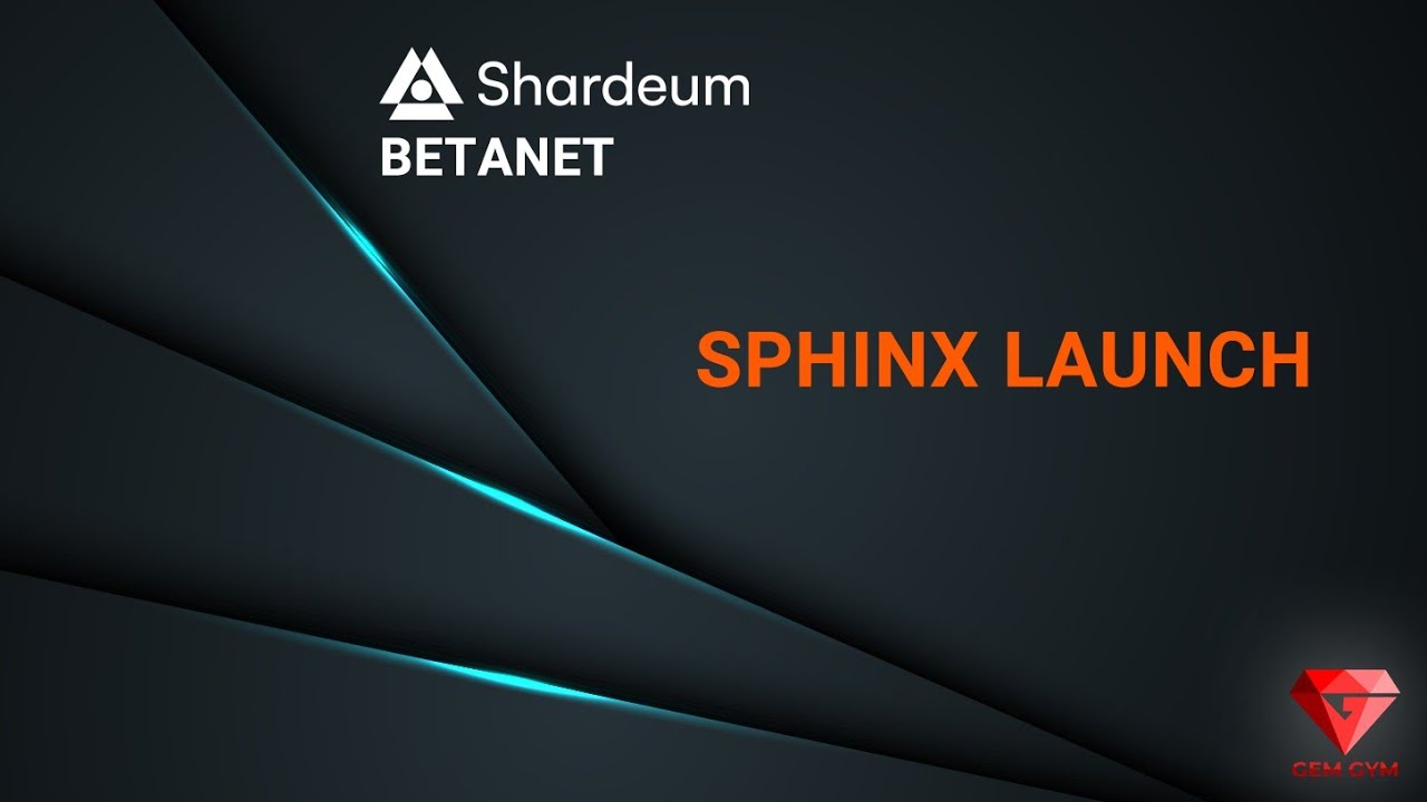 آموزش راه اندازی نود شاردیوم / how to run a shardeum node - YouTube