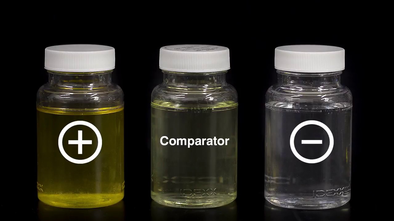 Colilert User s Guide UK - YouTube