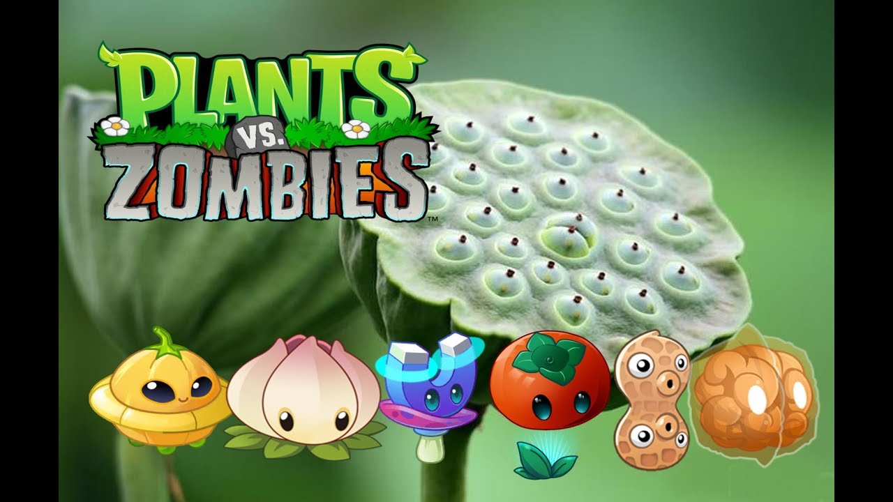 Plants vs. Zombies 2 - All "Lawns" in the game - YouTube