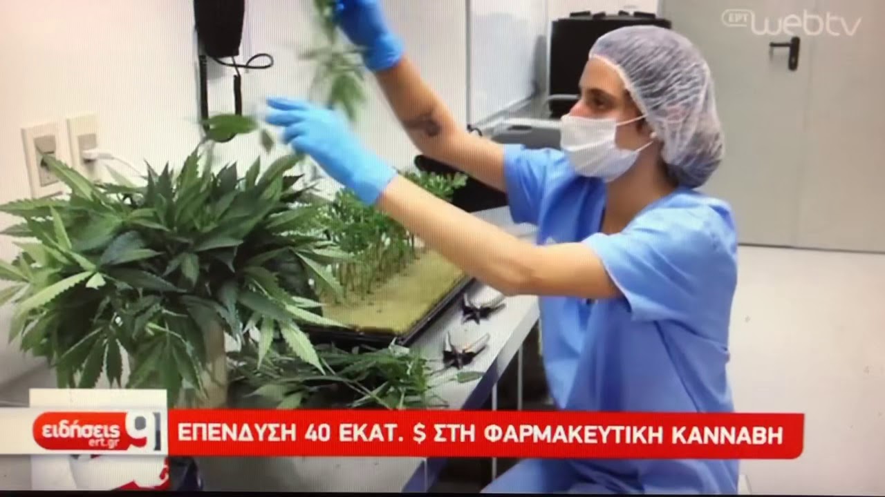 Στην Αμερική αντιπροσωπεία του υπουργείου Αγροτική ανάπτυξης - YouTube