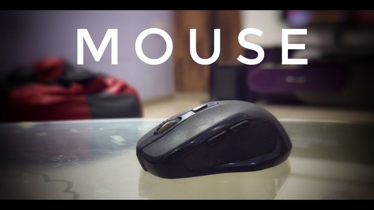 The Anatomy of Mouse Explained | - YouTube