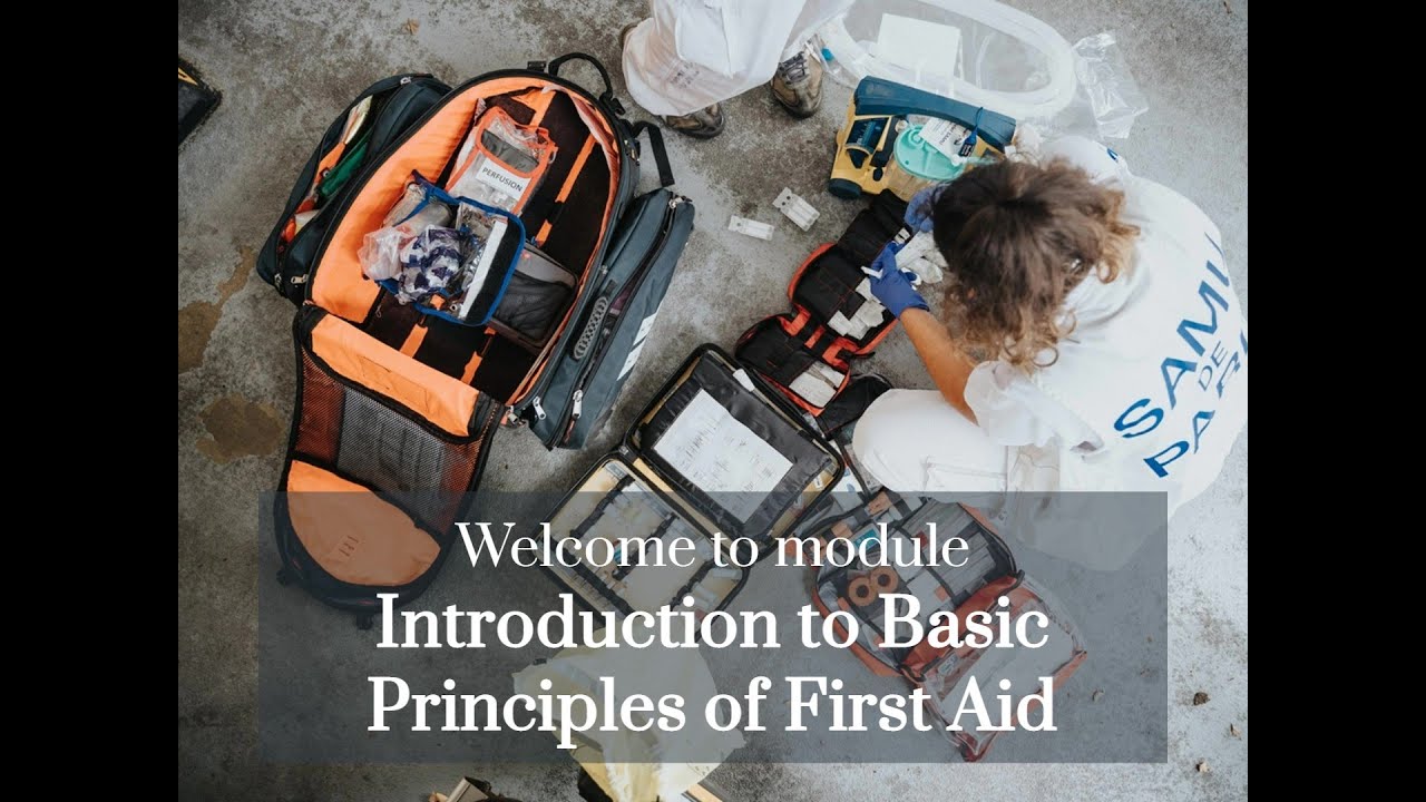 Introduction to Basic Principles of First Aid : 2. Definition of First ...