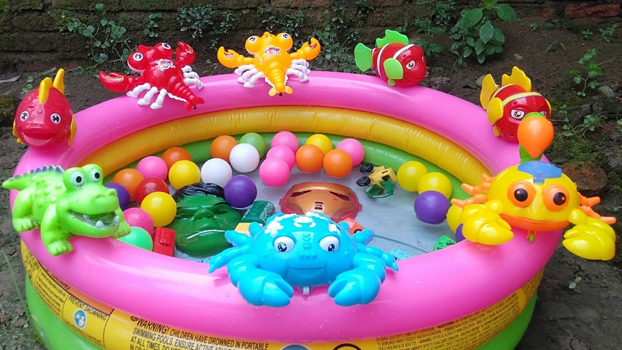 MENEMUKAN IKAN HIAS, KURA KURA, MOBIL MOBILAN, IKAN NEMO, KEPITING ...