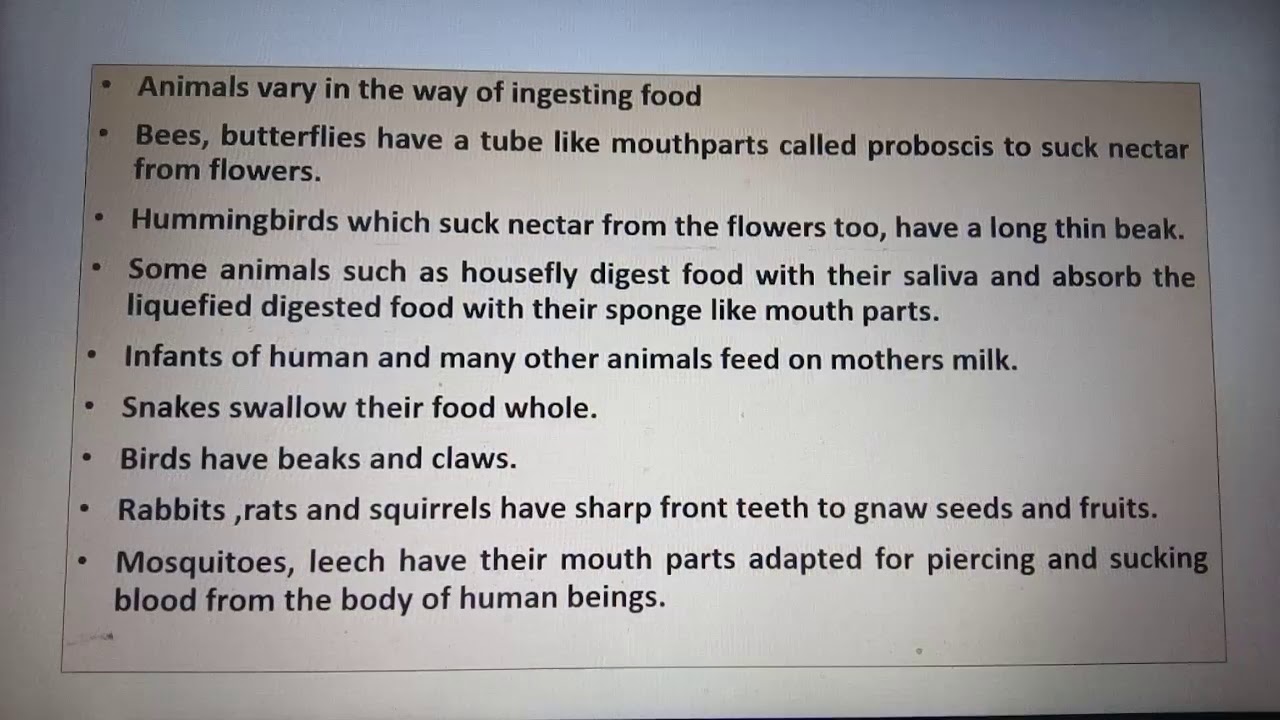 Class 7 Lesson 2 Nutrition In Animals YouTube class-7-lesson-2-nutrition-in-animals-youtube