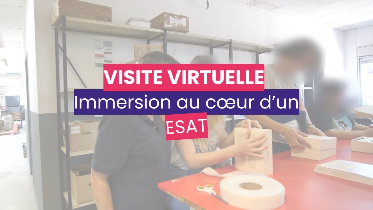 Immersion au coeur d'un ESAT ! - YouTube