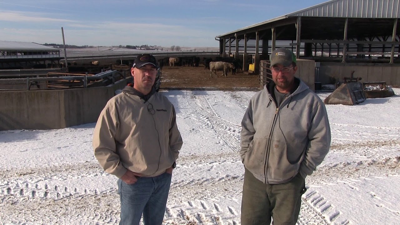 Johnson Valley Beef testimonial1 - YouTube