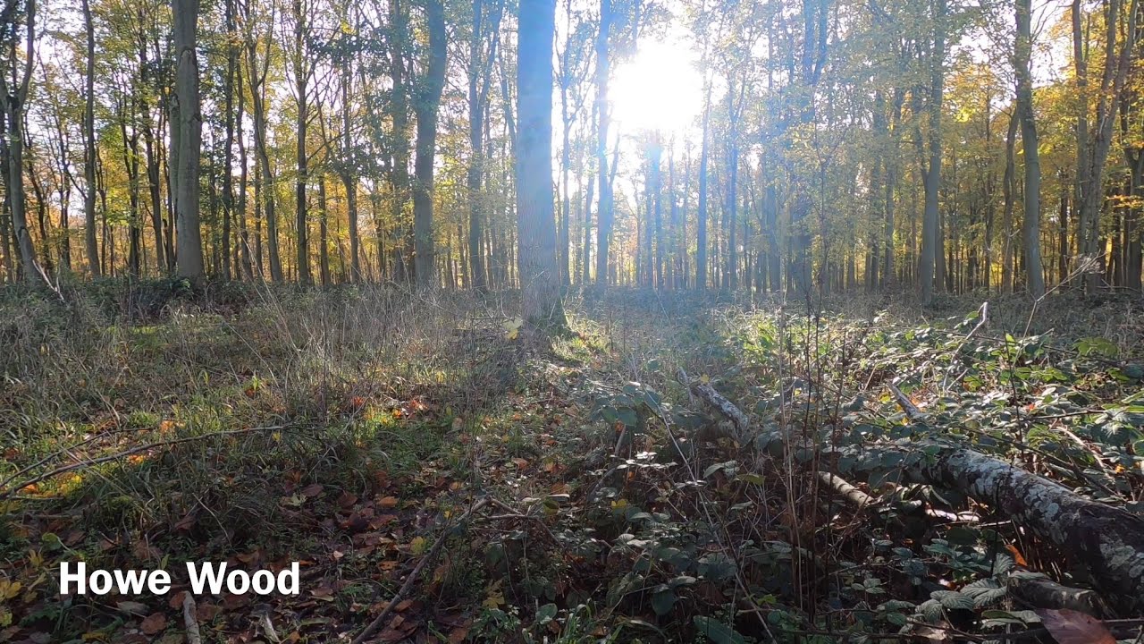 Cycling Cambridgeshire 221120: Cambridge to Howe Wood - YouTube