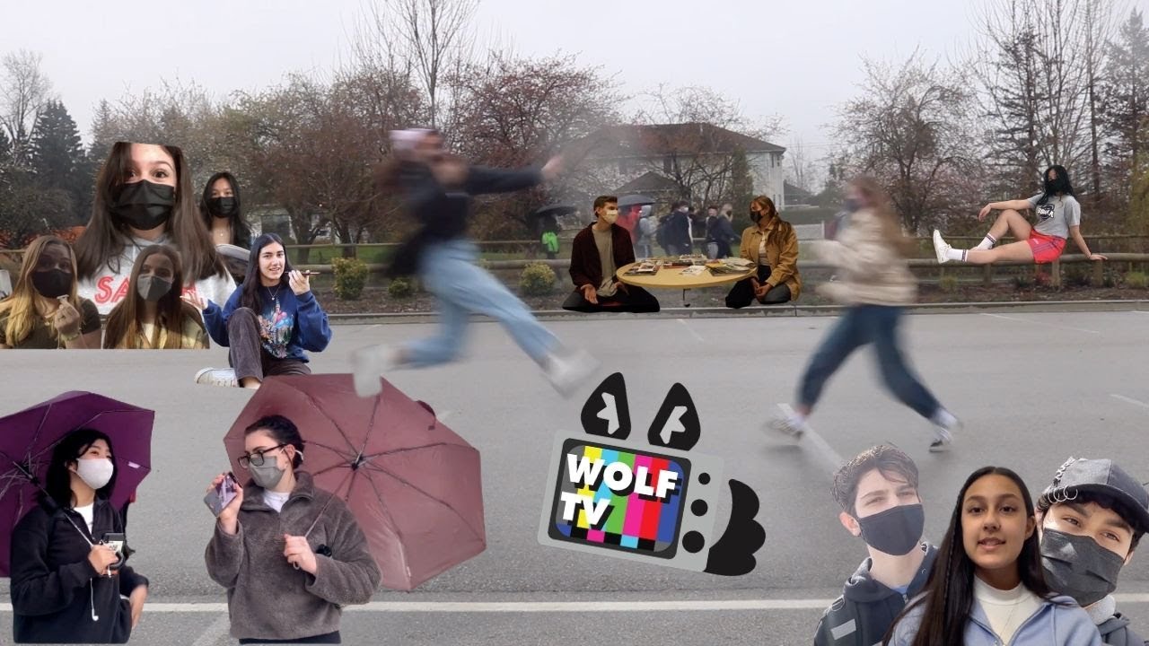 WOLF TV. EP 8 - APR - YouTube