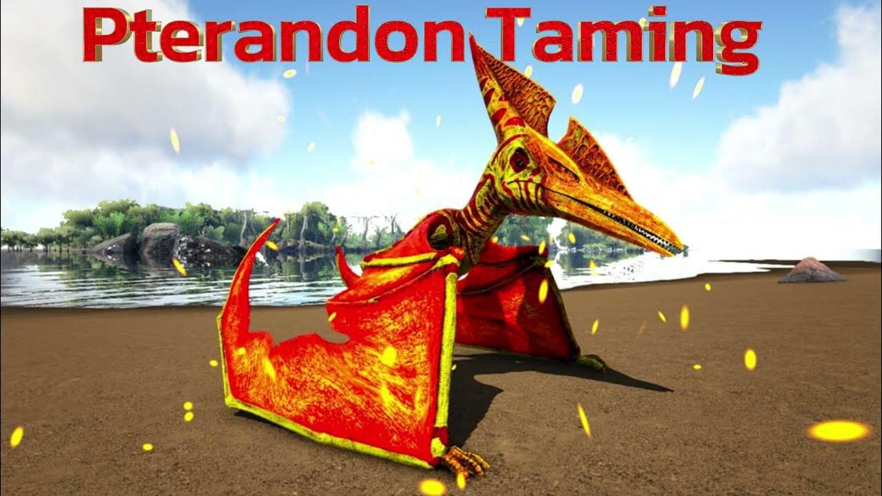 Ultimate Pteranodon Taming Guide | Ark Survival Evolved Gameplay - YouTube