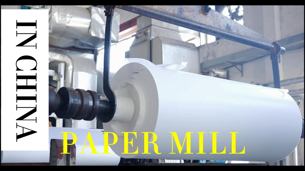 How Is Paper Made? The Manufacturing Secrets Behind Modern Paper ...