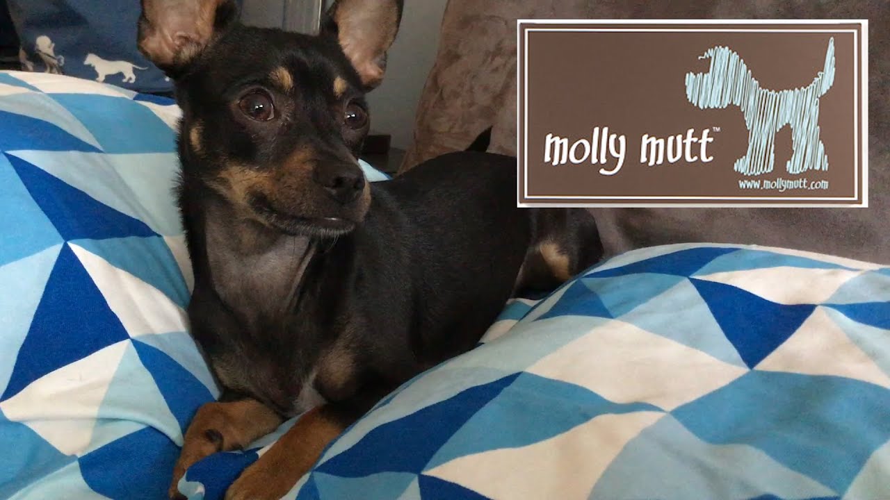 Molly Mutt Stuff Sack & Duvet from Molly Mutt - YouTube
