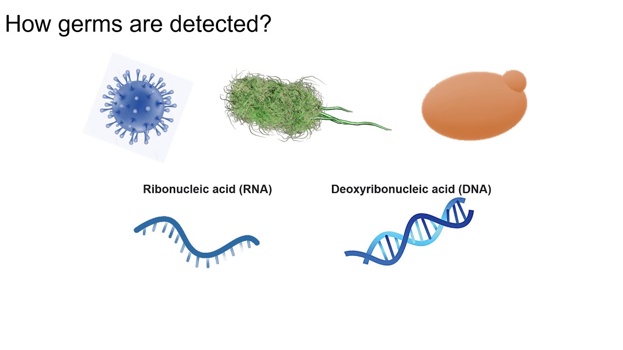 What are germs and how they are detected (for kids). - YouTube