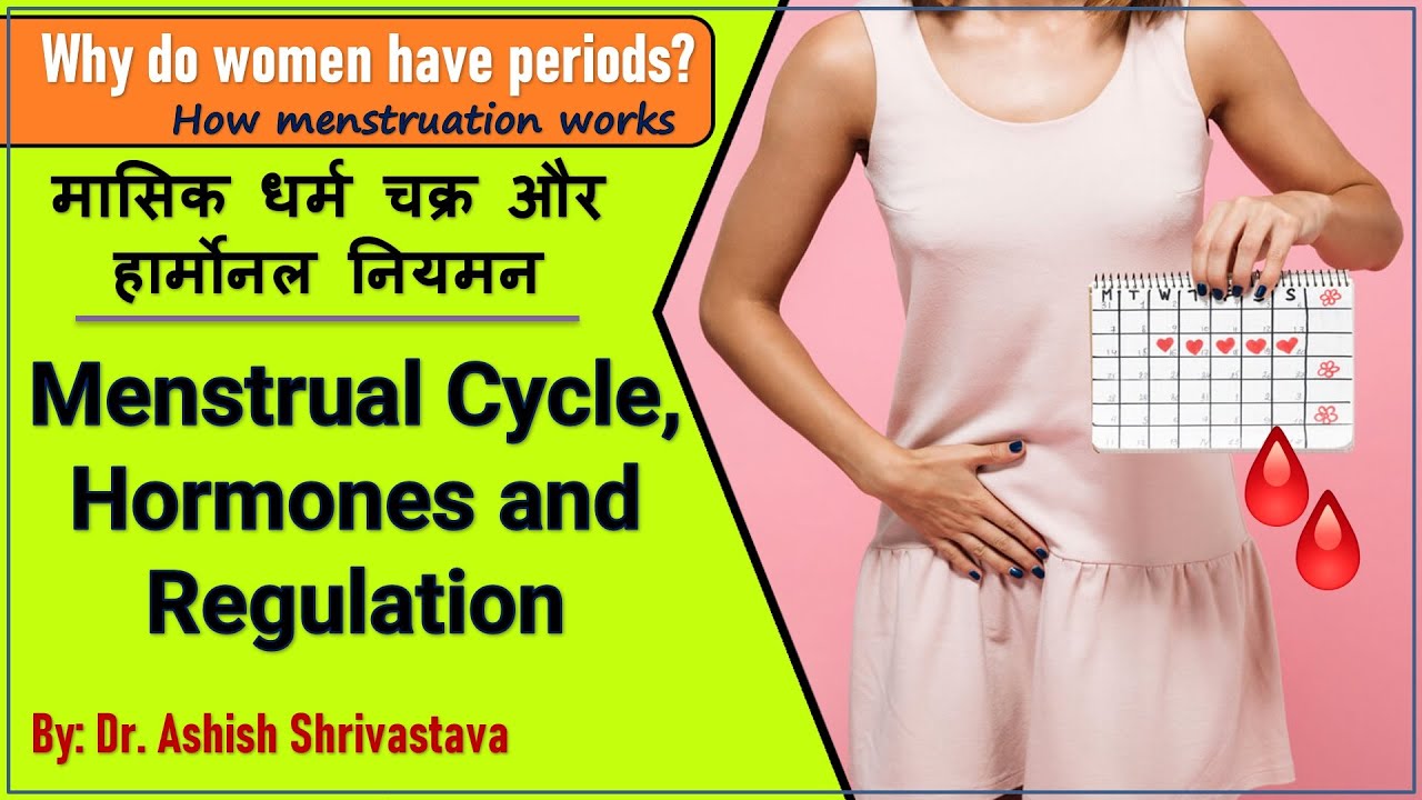 Menstrual Cycle, Hormones and Regulation | How menstruation works ...