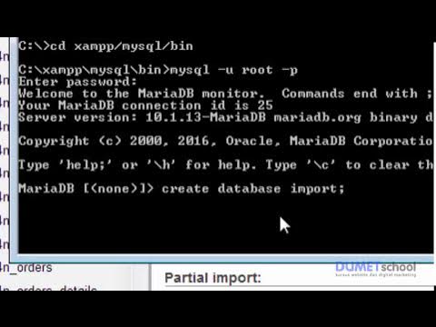 Cara Import Database MySQL Melalui Command Prompt - YouTube