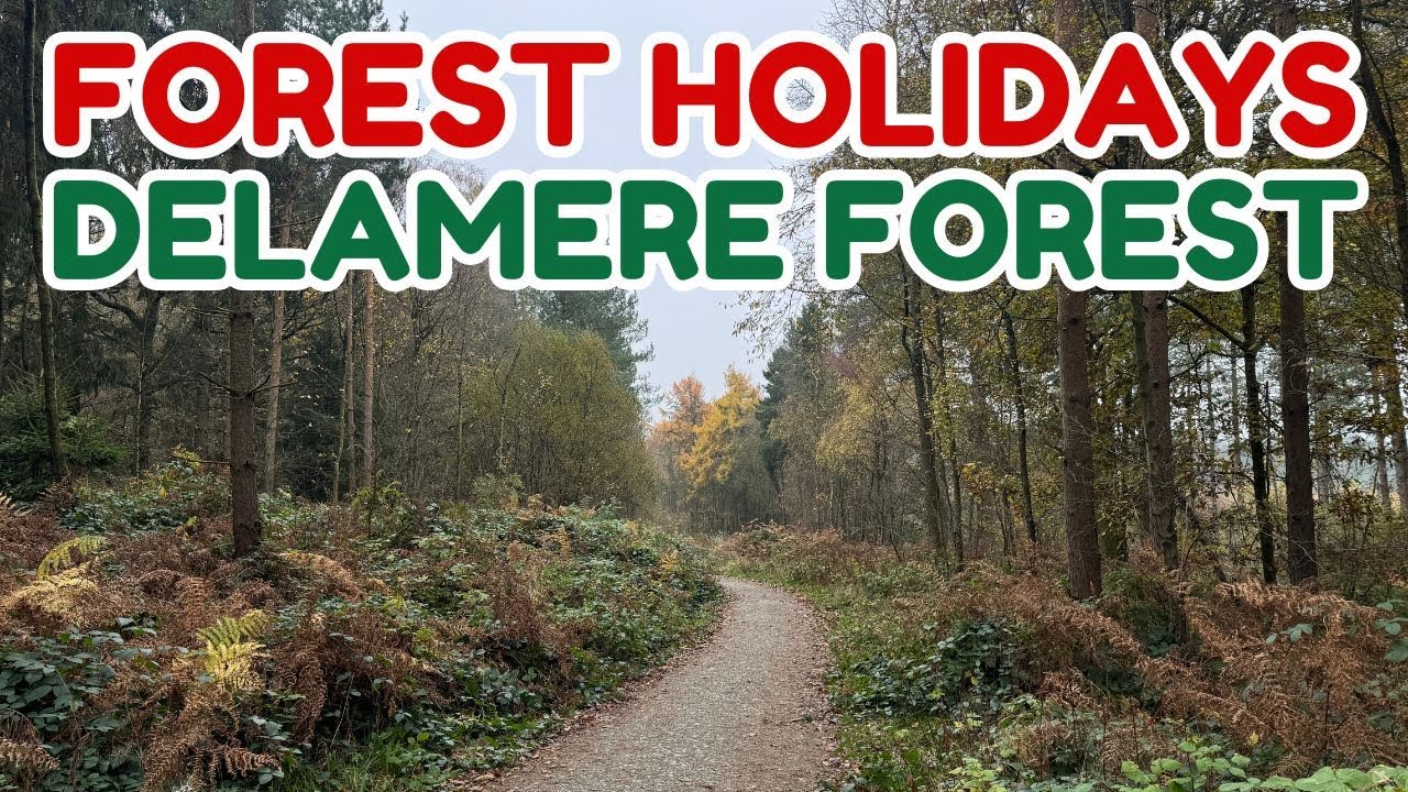 Experience the BEST Forest Holidays in Delamere Forest! - YouTube